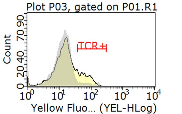 Anti-TCR β (mouse) Antibody, clone H57-597 | MABF931